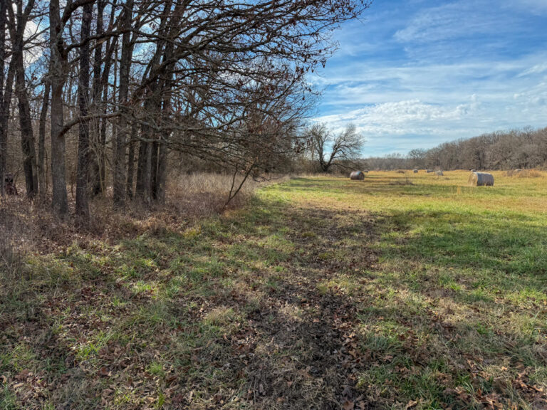 Rogers 46 | Midwest Land Group