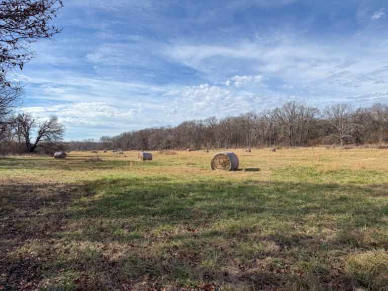 Rogers 46 | Midwest Land Group