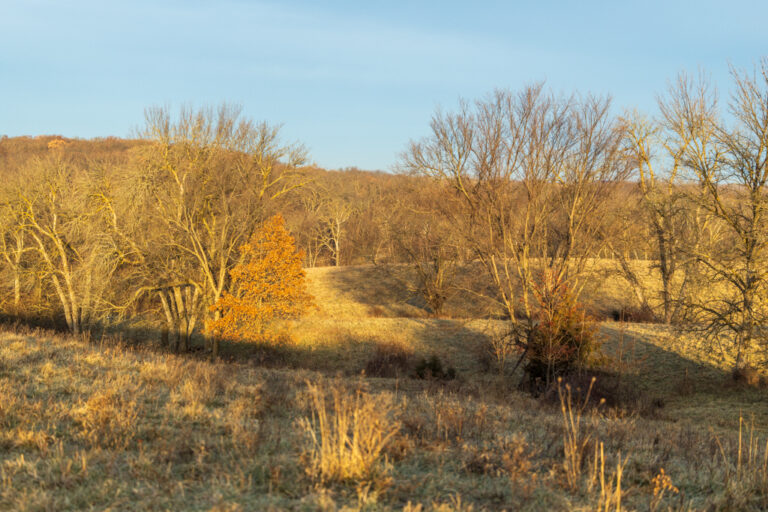 Sullivan 77 | Midwest Land Group