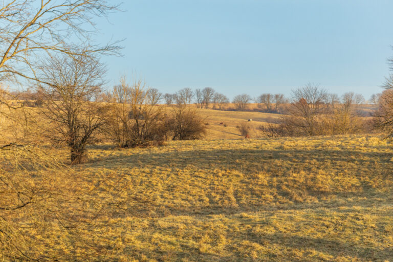 Sullivan 77 | Midwest Land Group