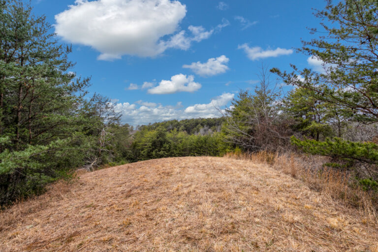 Sullivan 45 | Midwest Land Group