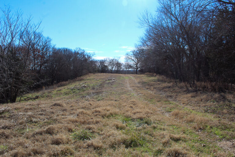 Okfuskee 119 | Midwest Land Group