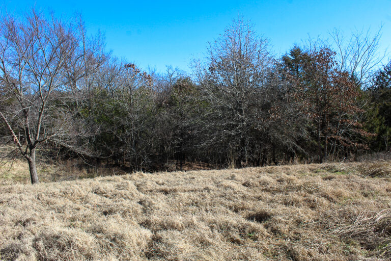 Okfuskee 119 | Midwest Land Group