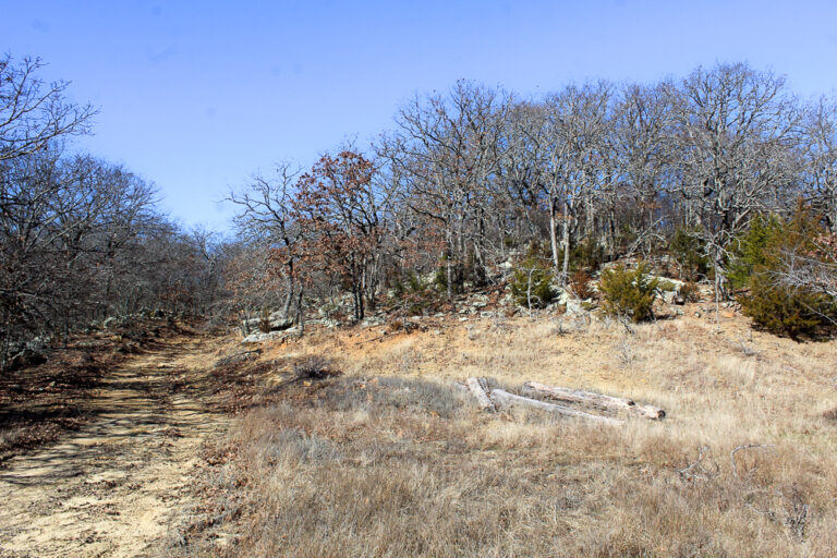 Okfuskee 119 | Midwest Land Group