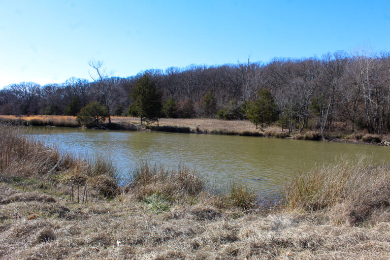 Okfuskee 119 | Midwest Land Group