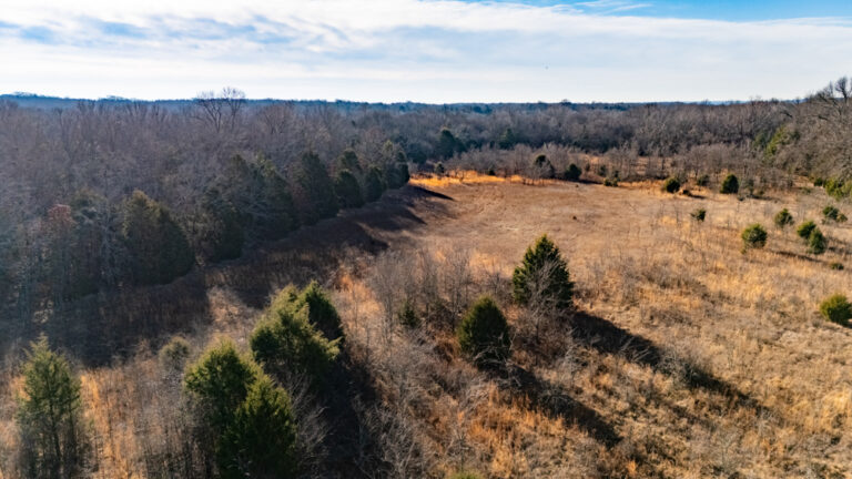 Seminole 40 | Midwest Land Group