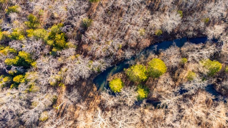 Seminole 40 | Midwest Land Group