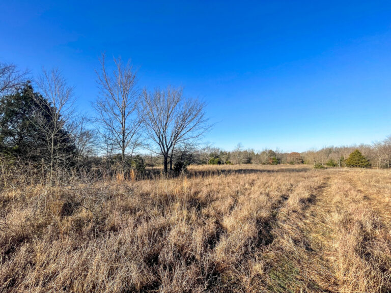 Seminole 40 | Midwest Land Group