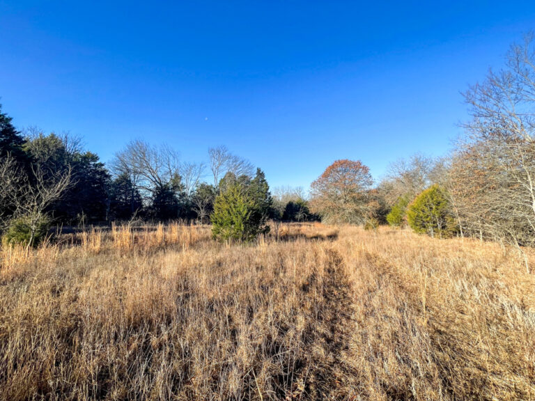 Seminole 40 | Midwest Land Group