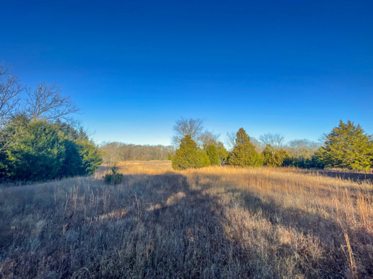 Seminole 40 | Midwest Land Group