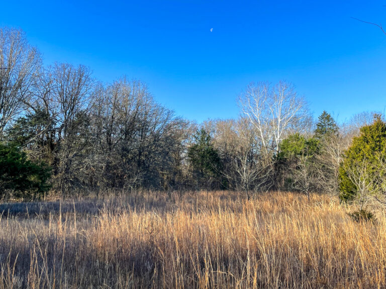 Seminole 40 | Midwest Land Group