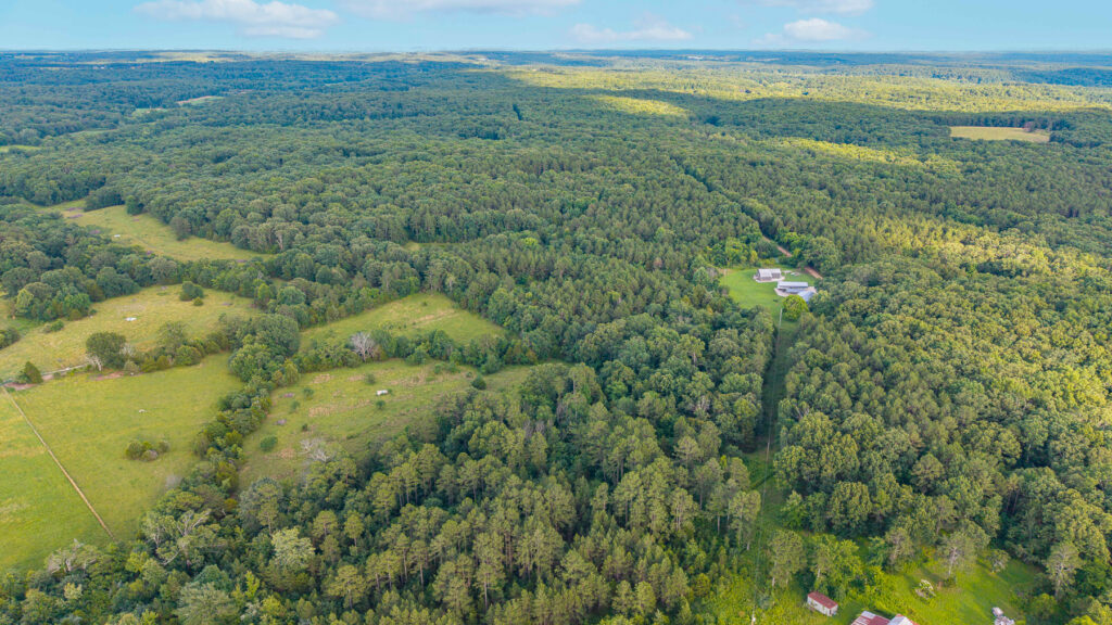 Bollinger 96.83 | Midwest Land Group
